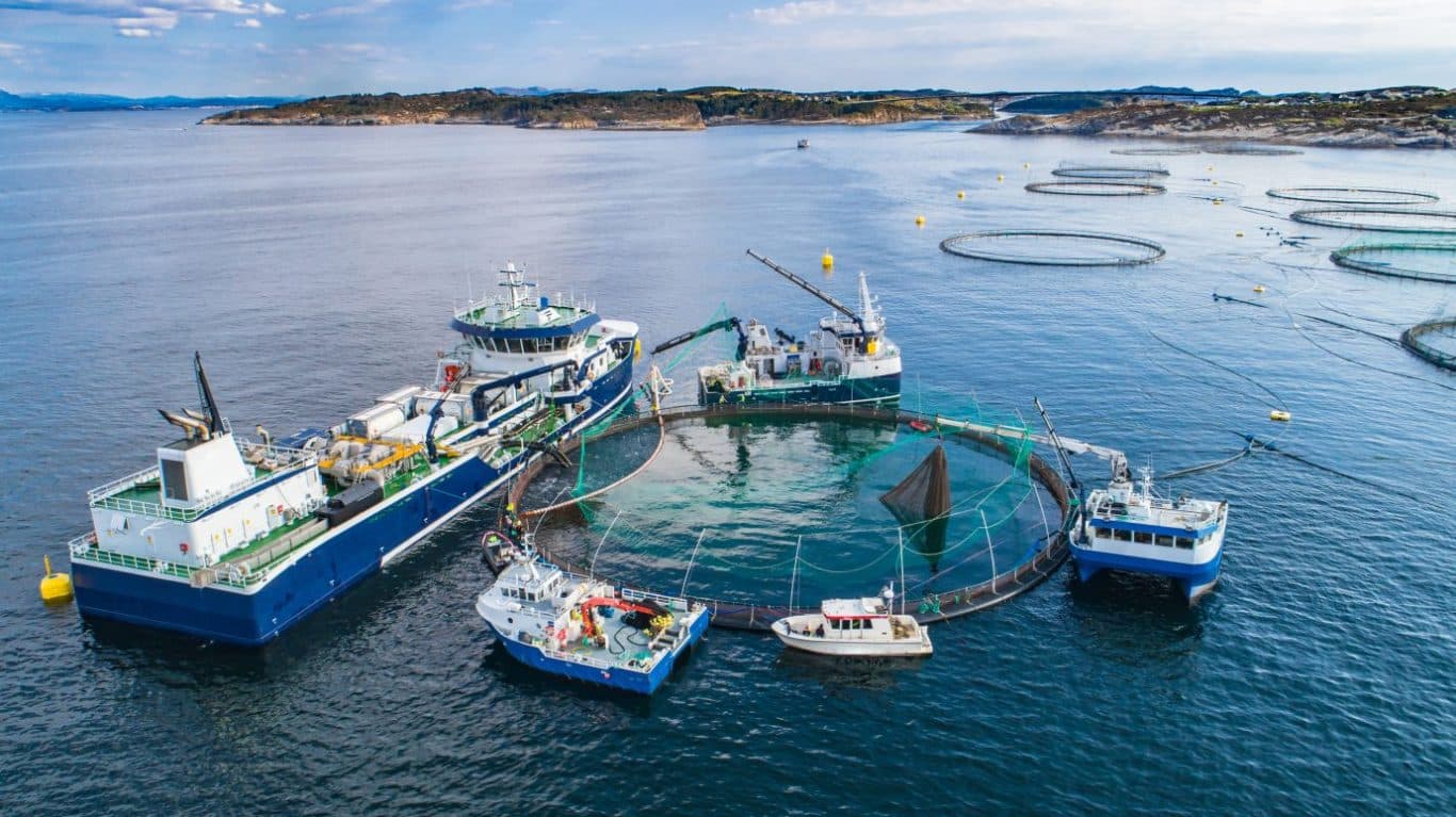About Atlantic Shipping - Atlantic Shipping
